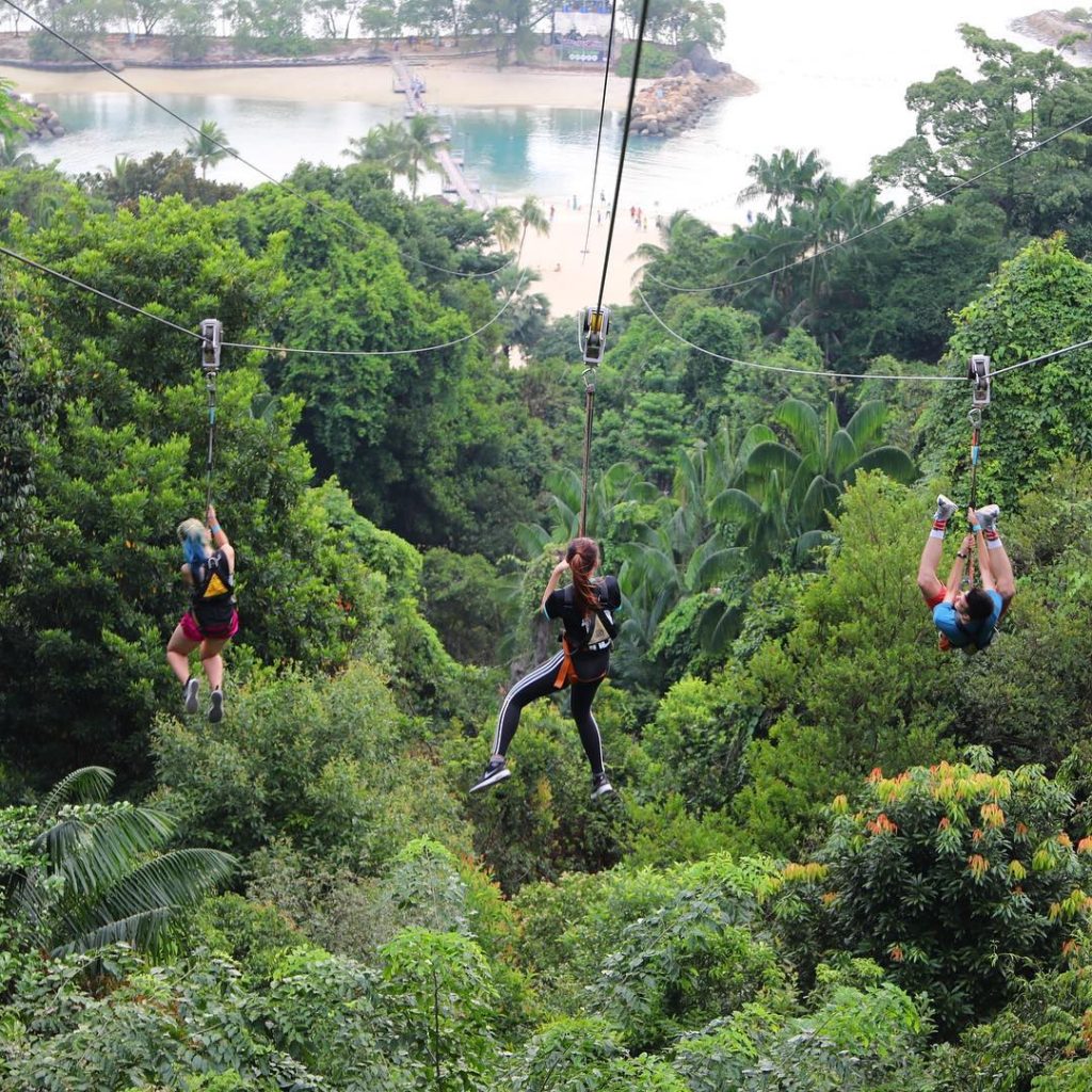 Ultimate Singapore Itinerary: A Complete Guide for Every Traveler - Dimaak