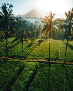 Best Things to Do in Ubud – Culture, Nature & Hidden Gems to Explore ...
